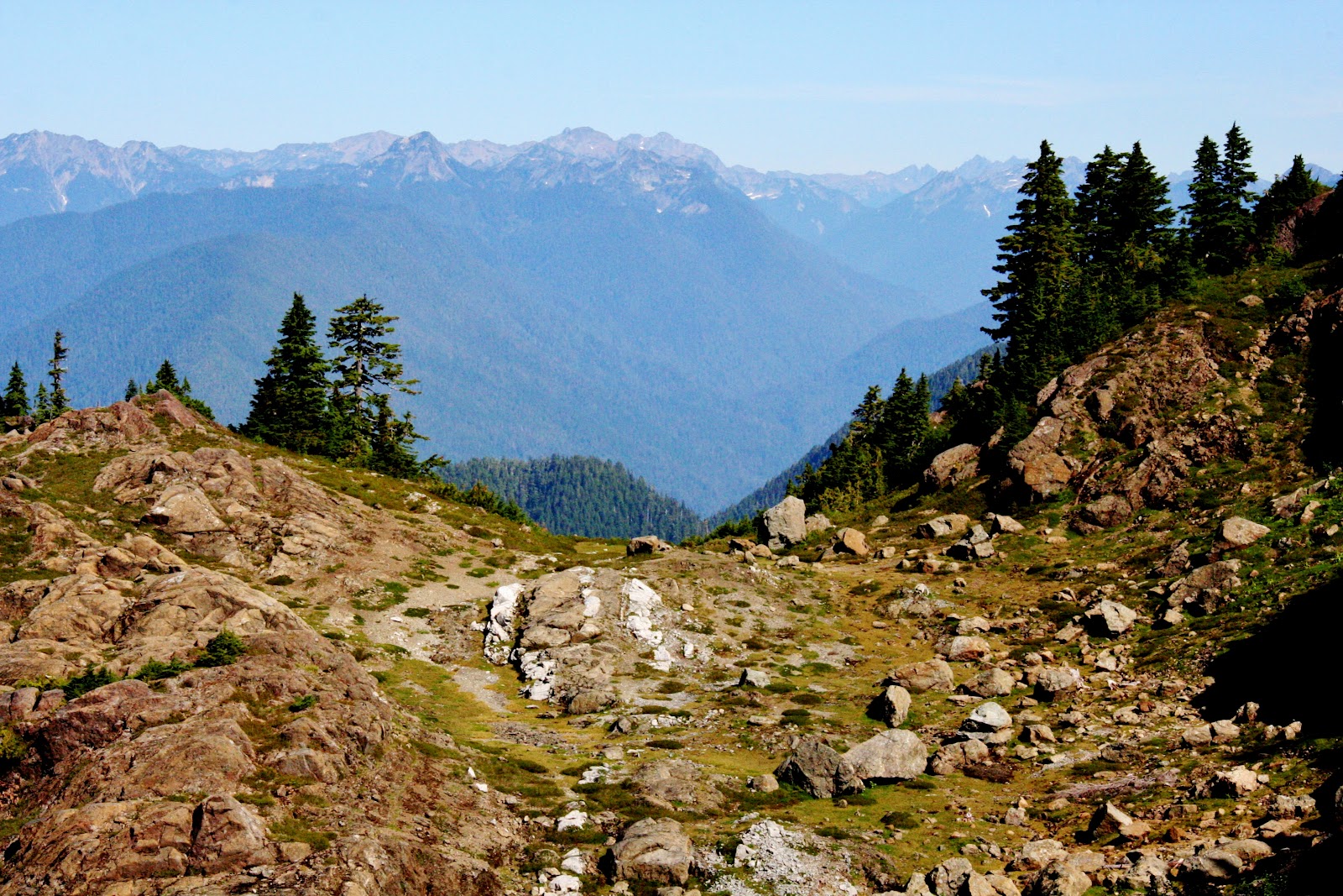 Olympic Peninsula Hikes, Guides and Updates: Colonel Bob Peak and Pete ...