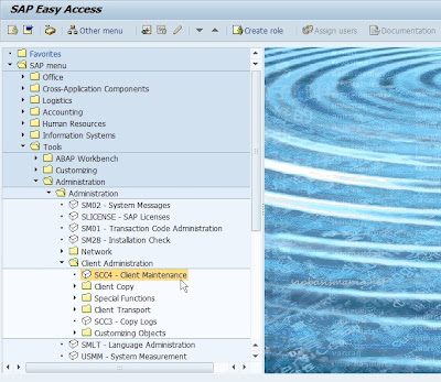 SAP BASIS: Create New client in SCC4