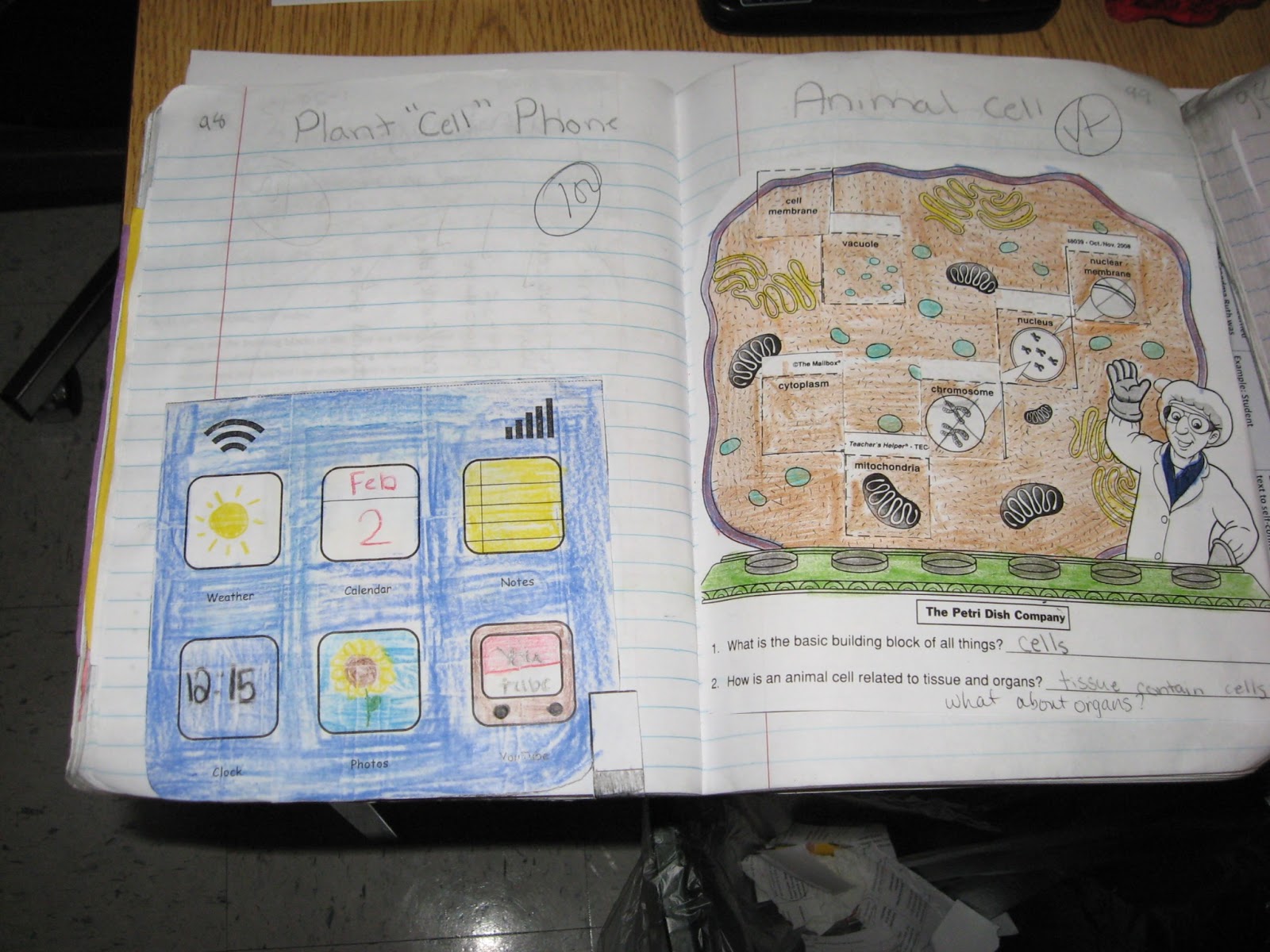 "Cell" Phone - Student Samples