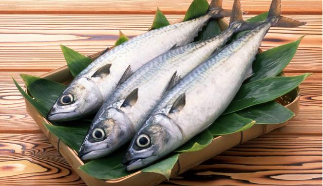 Apa Makanan Sumber Protein Untuk Anak? - Pojok Manfaat