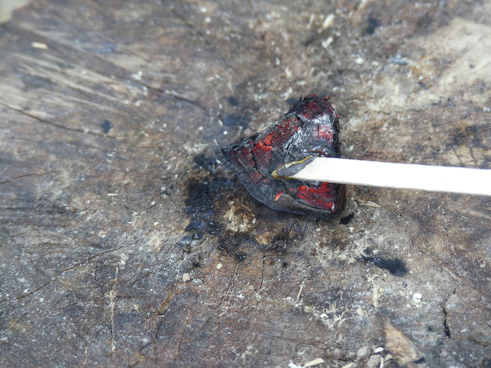 The Outdoor Traditionalist : How To Make Sulphur Matches