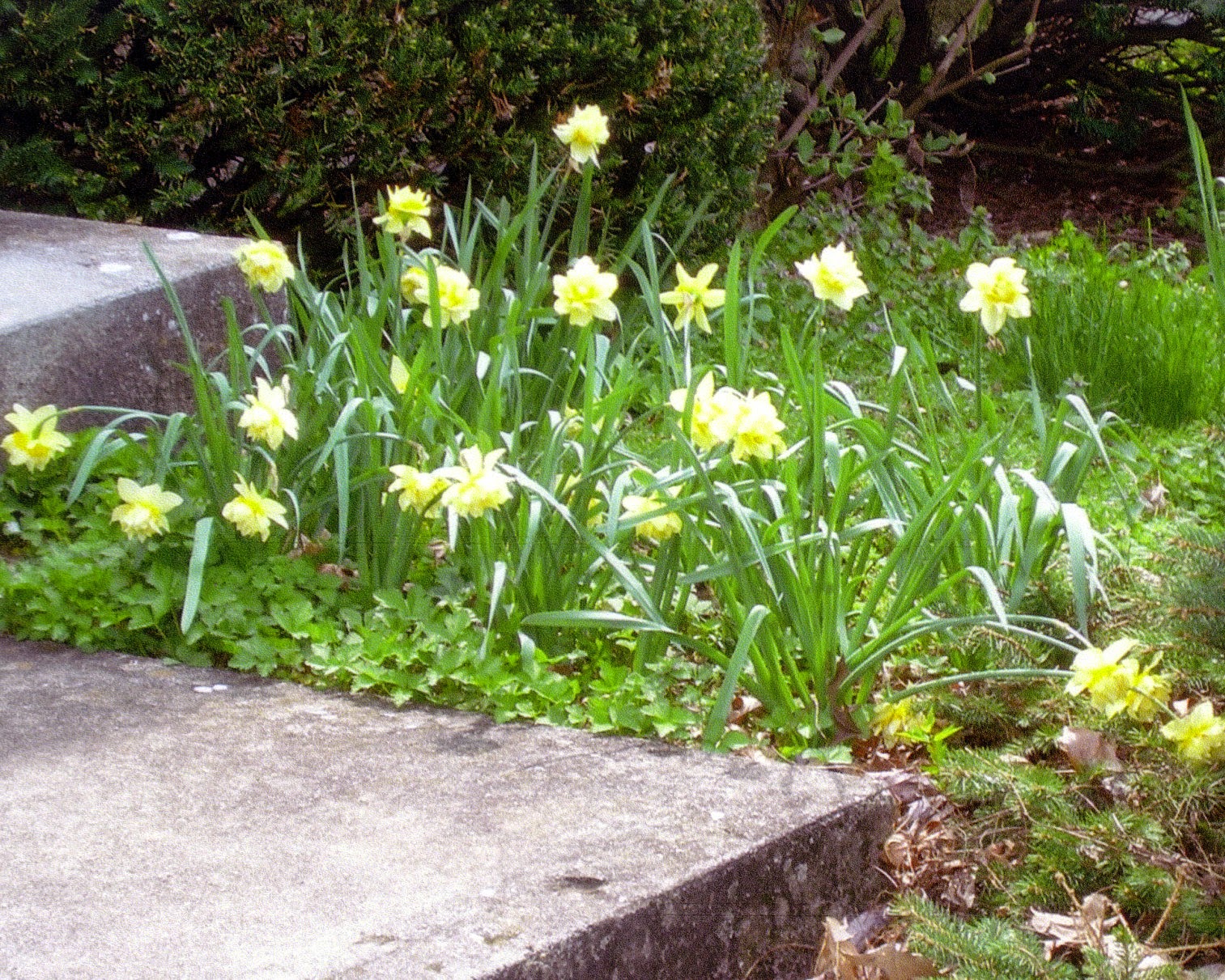 Aunt Dobson's Farmhouse