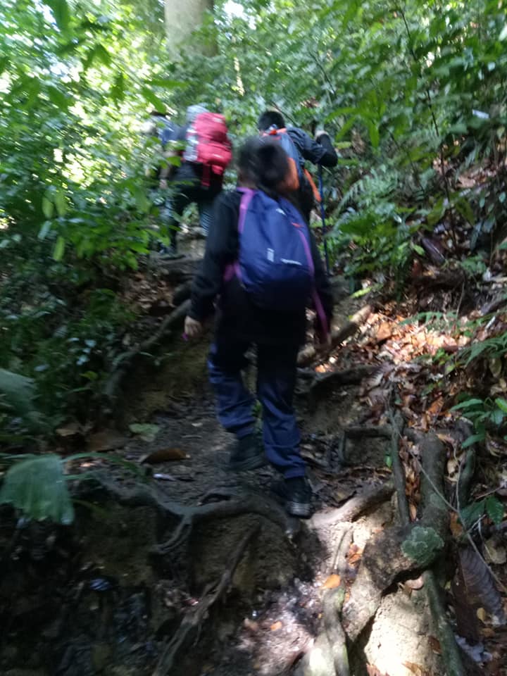 ! Selagi Nadi Ku Berdenyut !: Hiking / Jungle Tracking Di FRIM Kepong