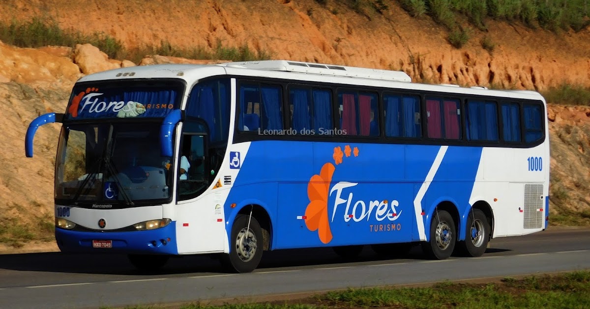 ONIBUS DIVERSOS 1: FLORES TURISMO