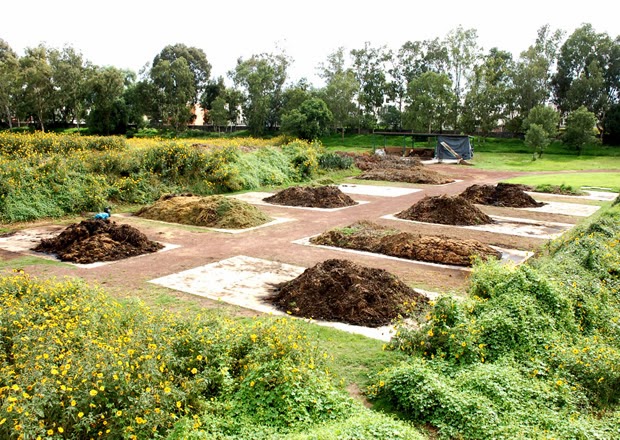 Vida Verde: ¿Que es la composta?