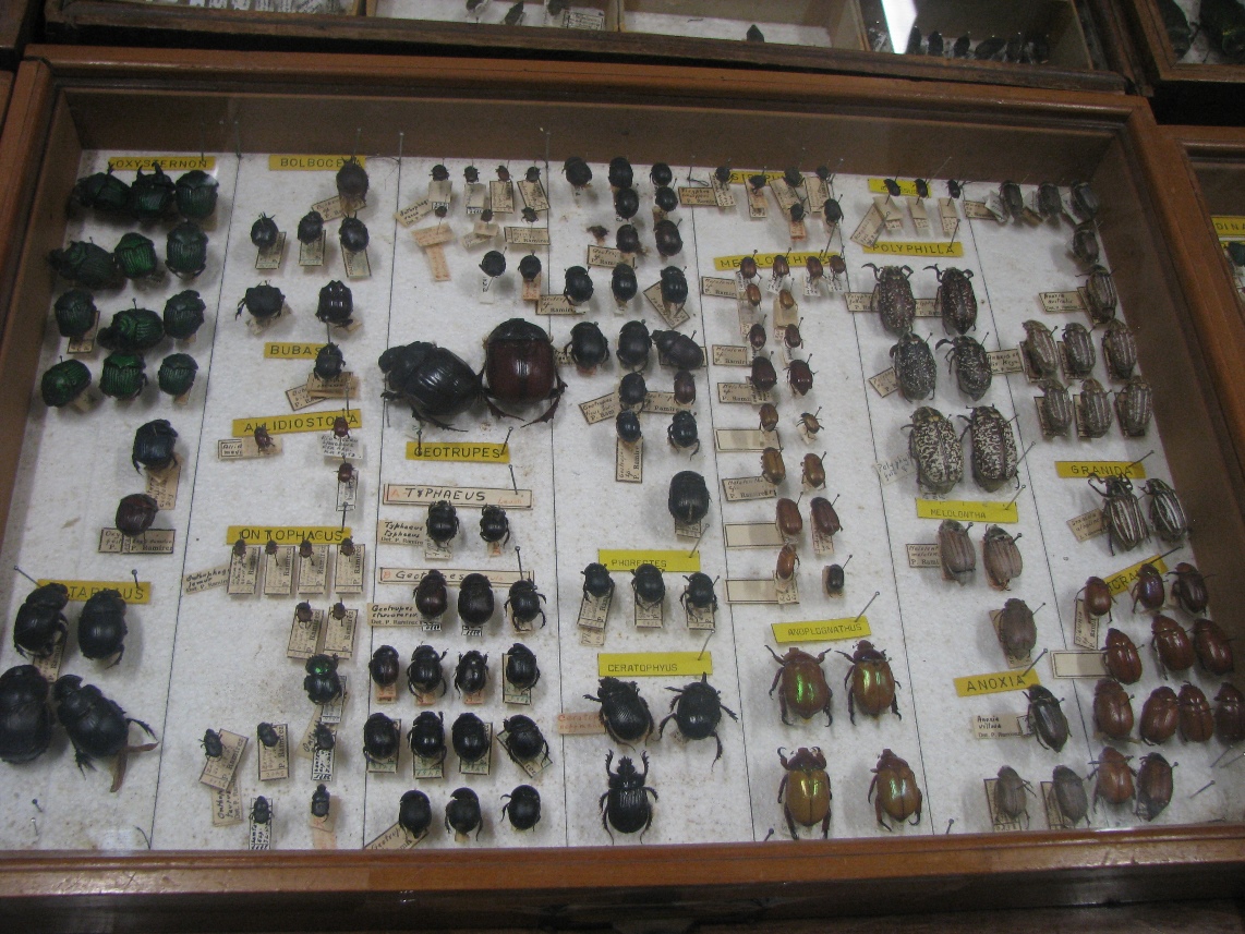 LABORATORIO DE CIENCIAS NATURALES: julio 2015