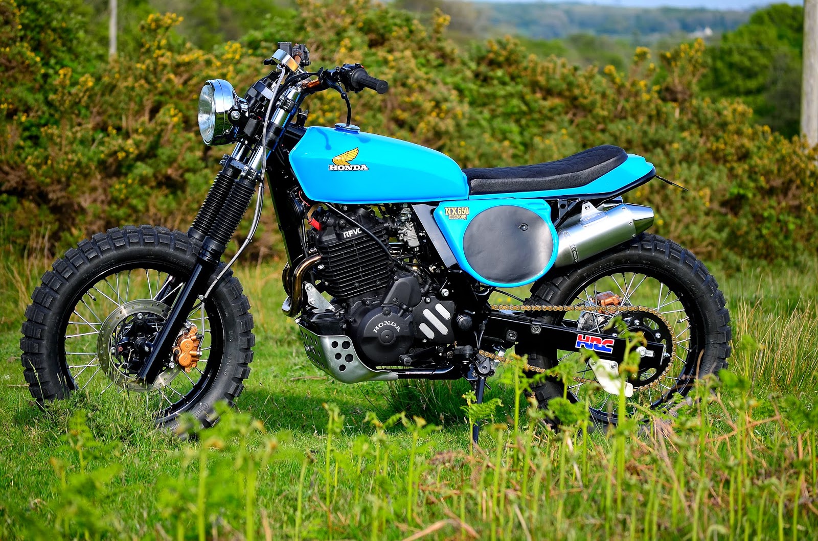 honda nx650 dominator streettracker project.: True Blue No 7.