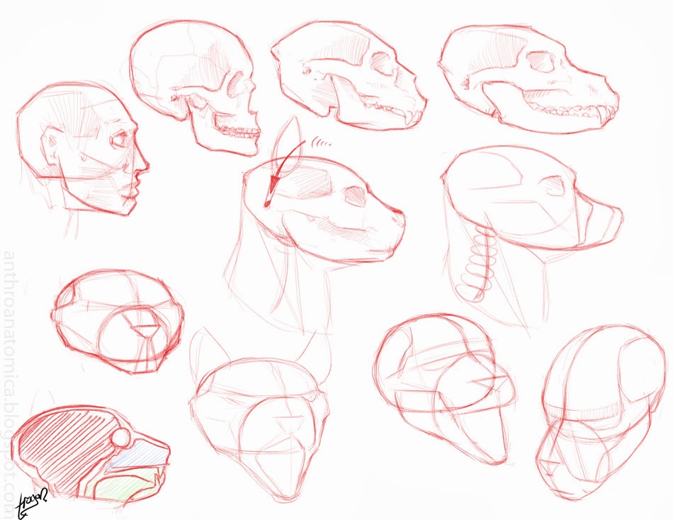 Humans With Animal Heads Drawing