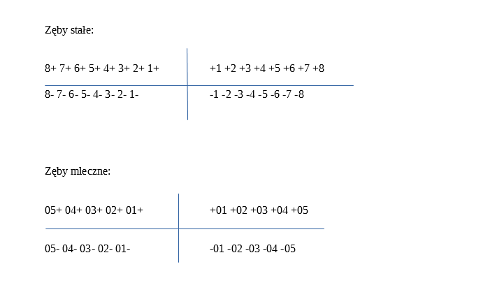 Higienistka Stomatologiczna: Systemy oznaczania zębów