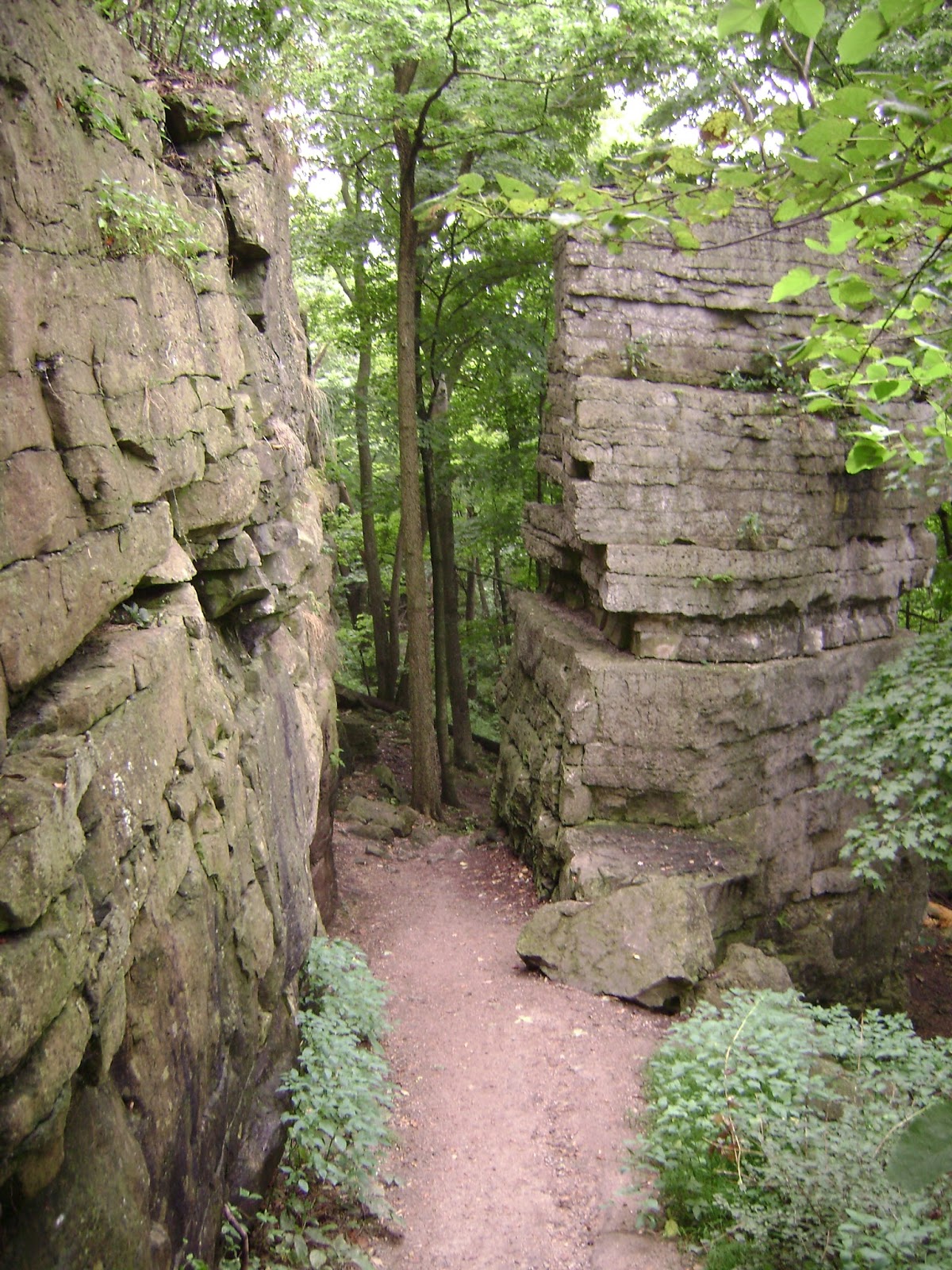 Hiking Adventures: High Cliff State Park