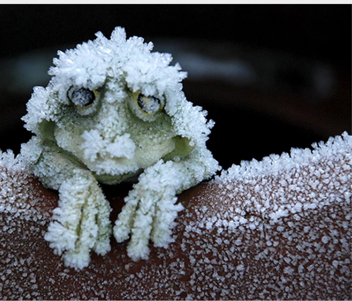 - Gun Ek - från Sveriges Framsida! -: Jag känner mig lite frusen....
