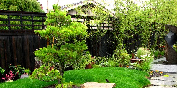 Cara dan Tips Menata Taman Rumah | Habiban Plants