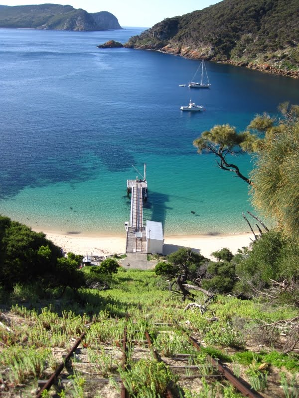 Kayaks across Bass Strait: On Erith Island