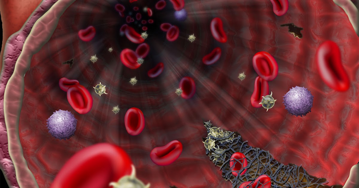 Most Amazing Facts About Human Blood