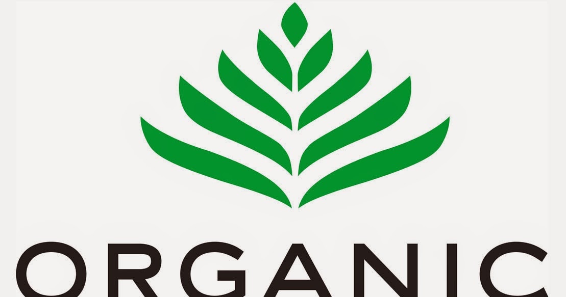 New Age Mama: Organic India Moringa Leaf Powder Review