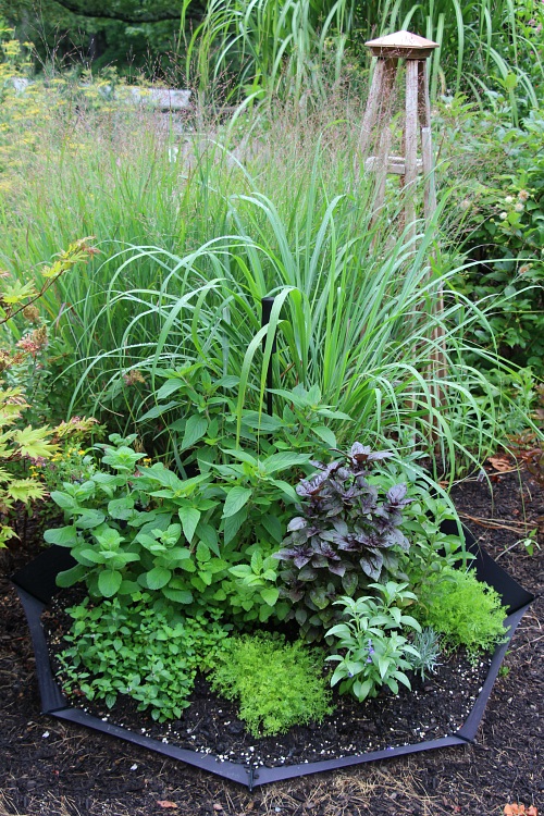 Art Verdi - Mix de Conteúdo: Aprenda a cultivar uma horta de chás