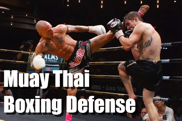 Acumen Athletics: Boxing Defense in Muay Thai (Kevin Ross vs Michael ...