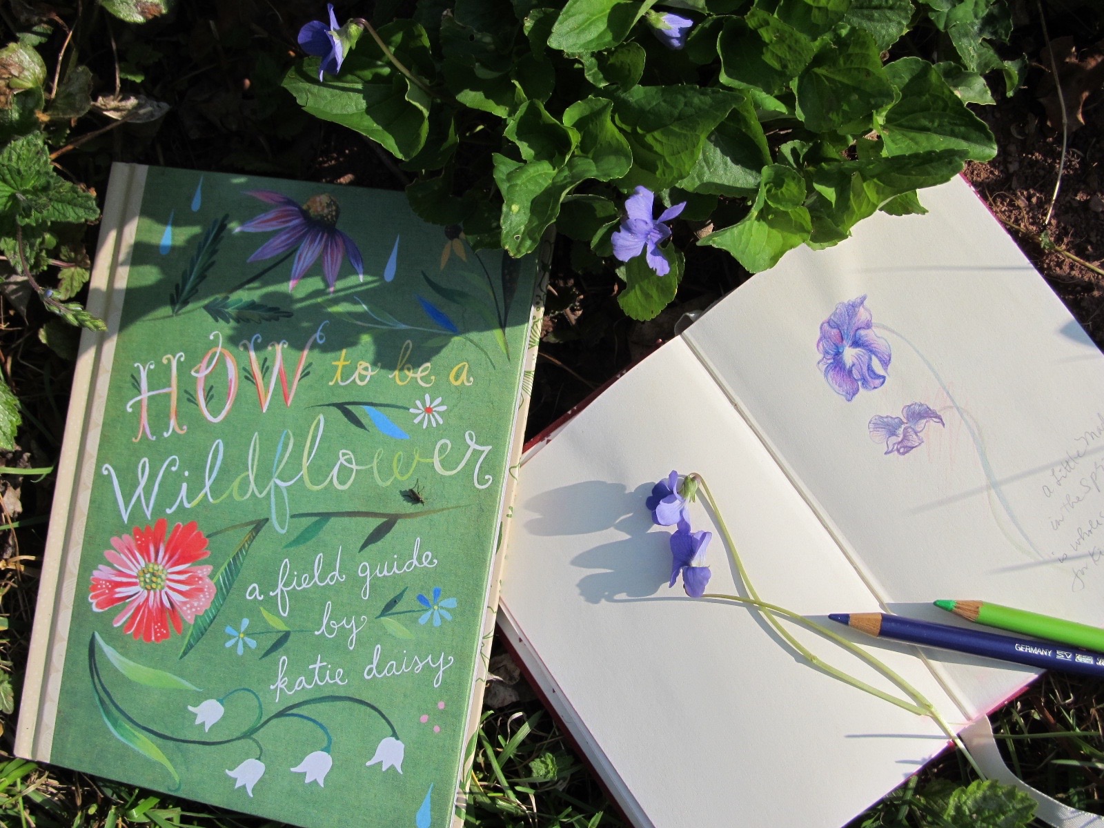 asketchaday-ConnecticutRamblings: INSPIRATIONS