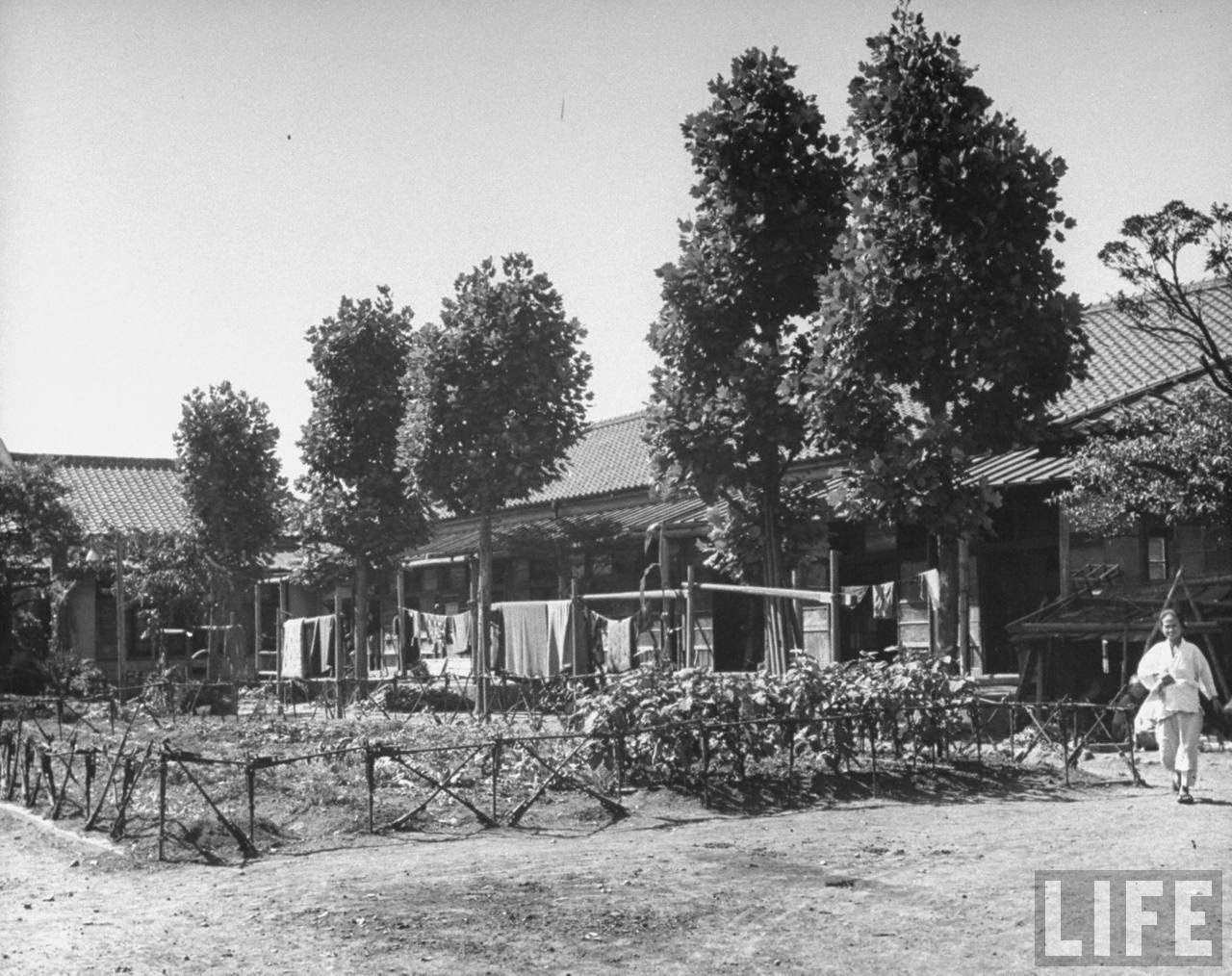 19 Amazing Black and White Photos That Capture Daily Life in Japan in ...