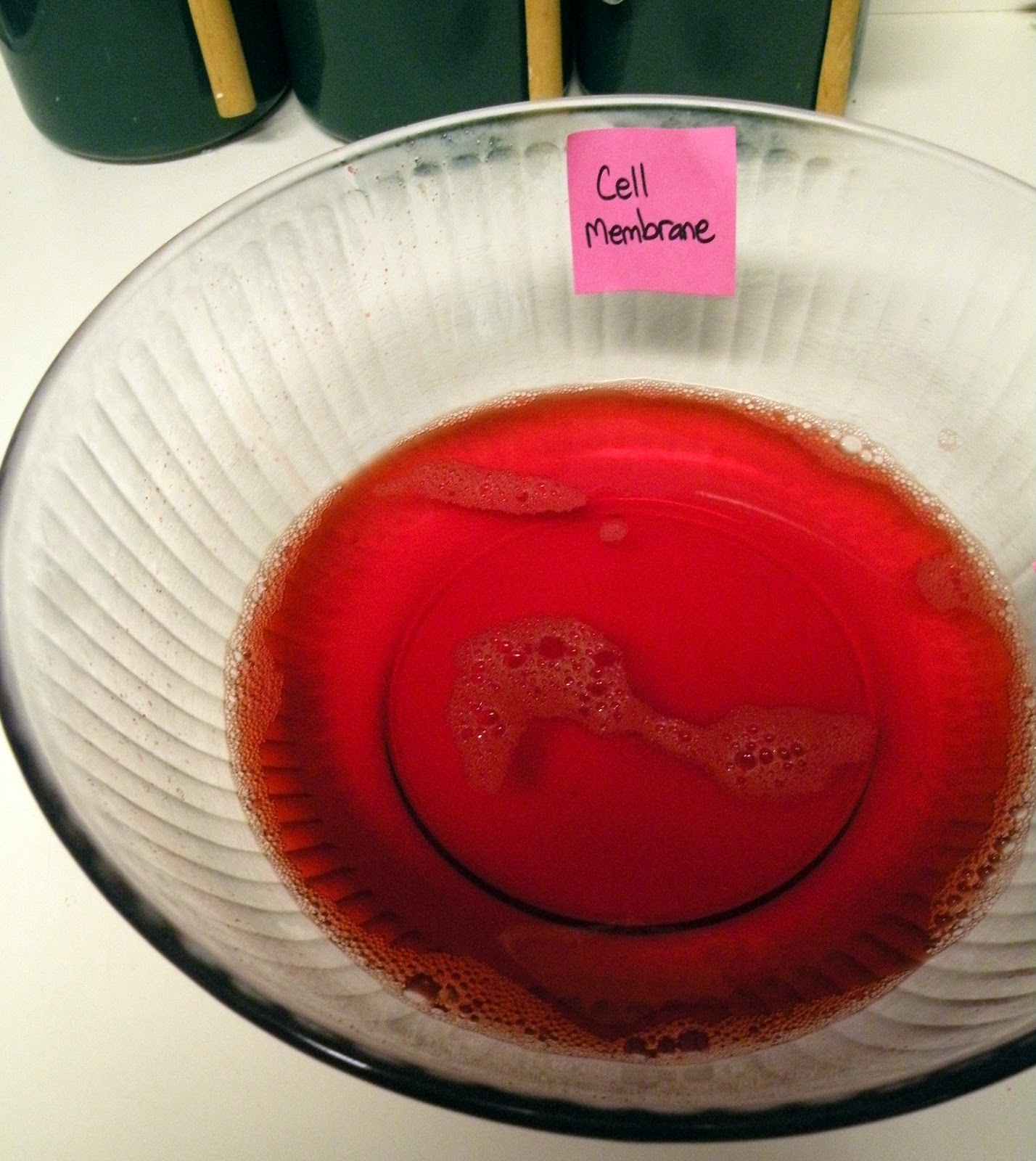 The Fantastic Five: Jello Animal Cell