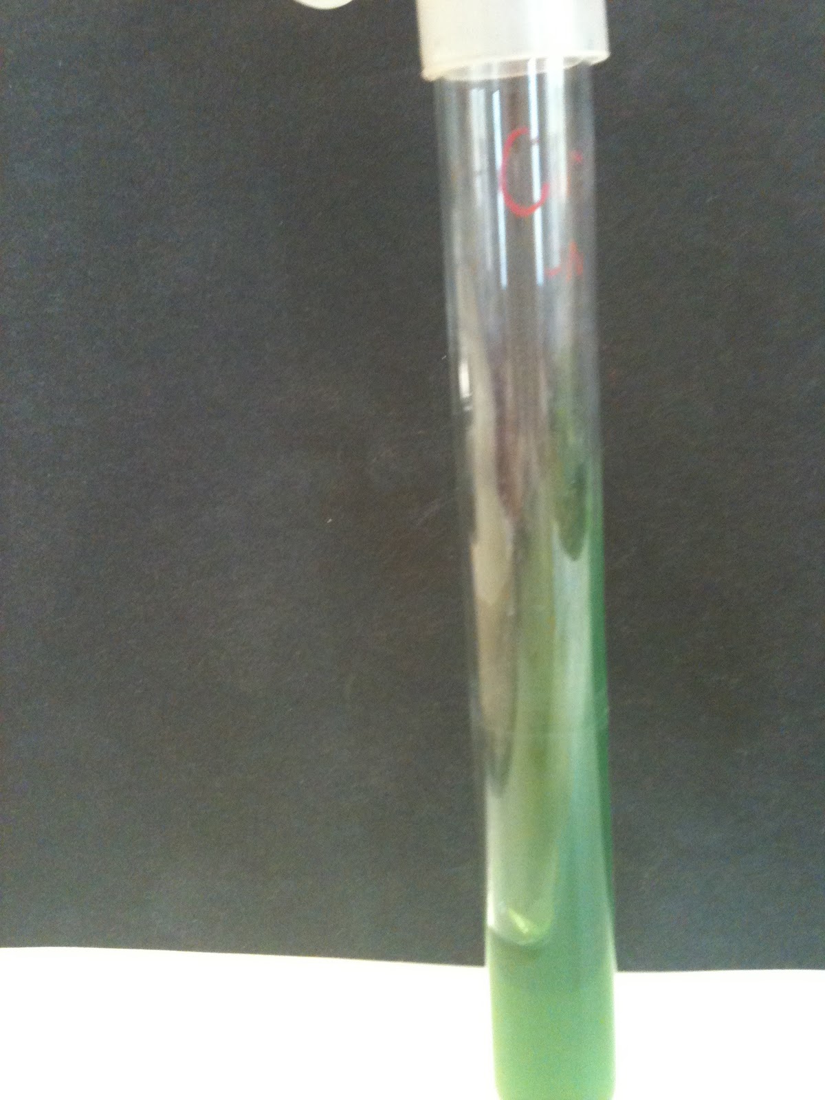 Franciscan University BIO 217 Microbiology Lab