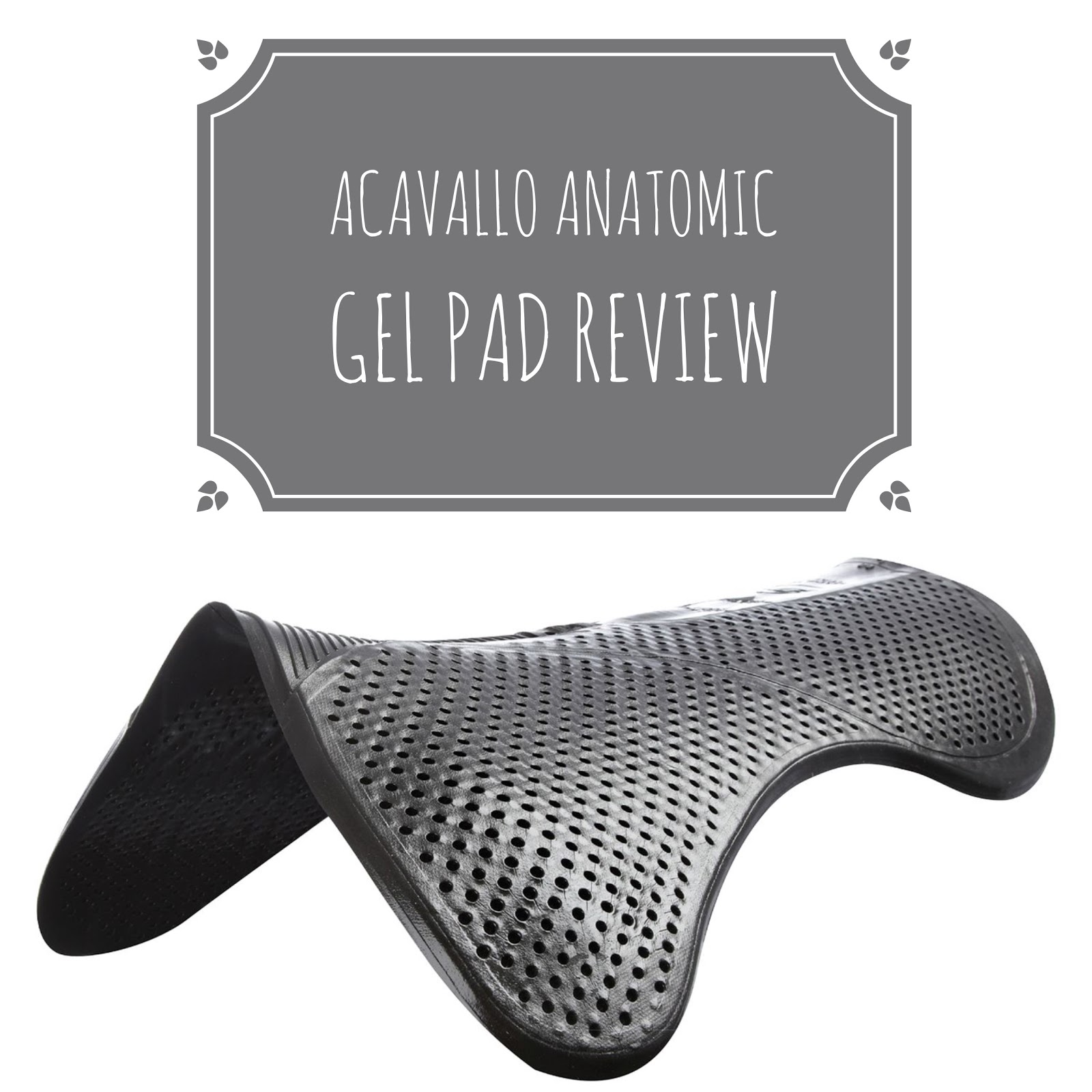 Roosa's Horsey Life: Acavallo anatomic gel pad review