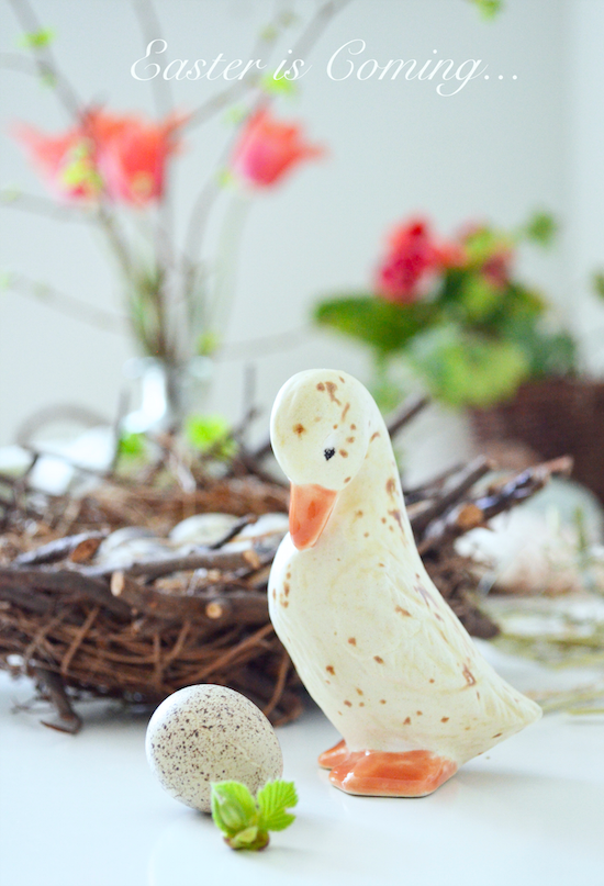 Lucky Day: Easter is Coming