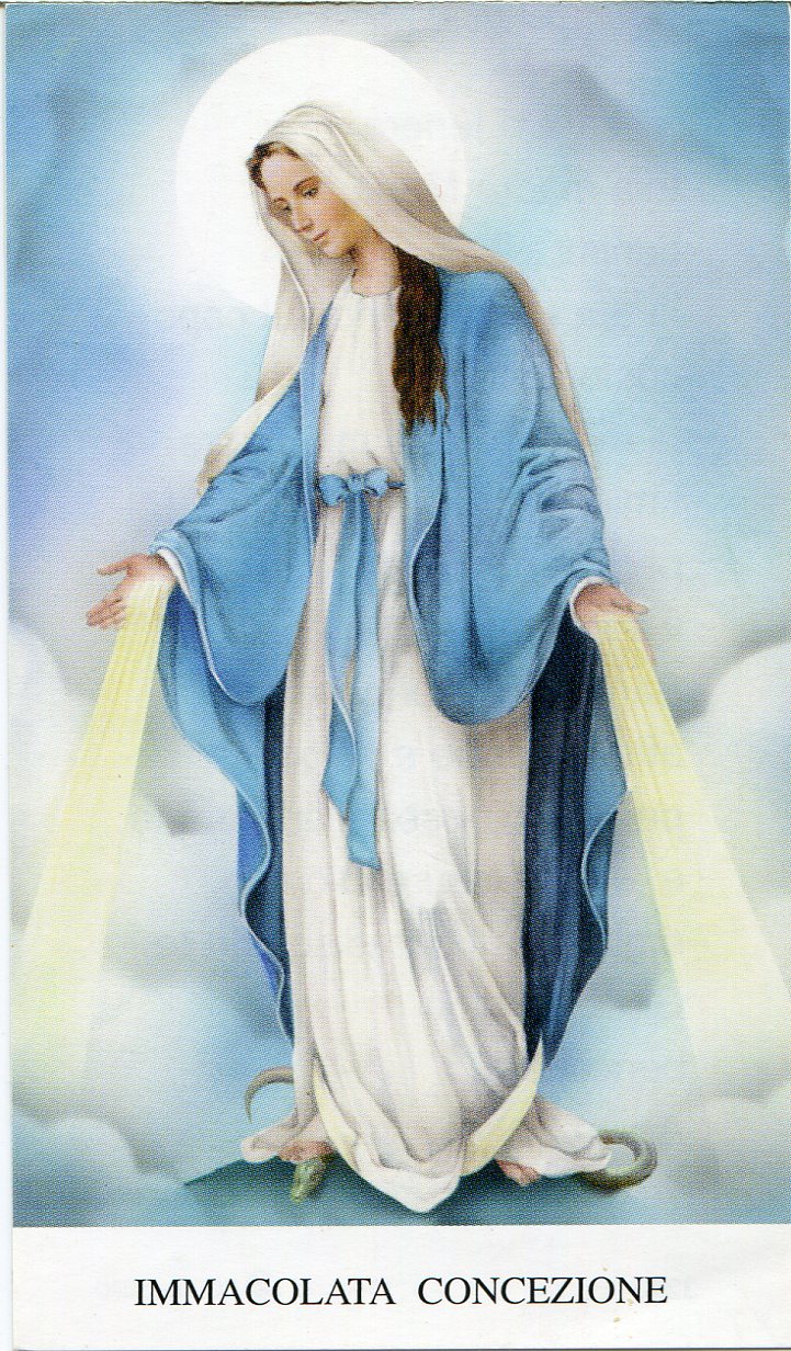 Filiconia Mariana: L'Immacolata Concezione di Maria