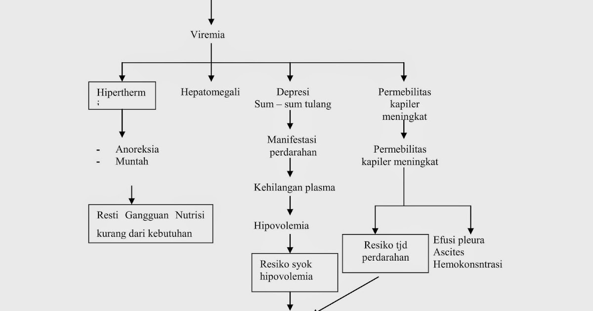 Pathways dhf | Blog Kesehatan