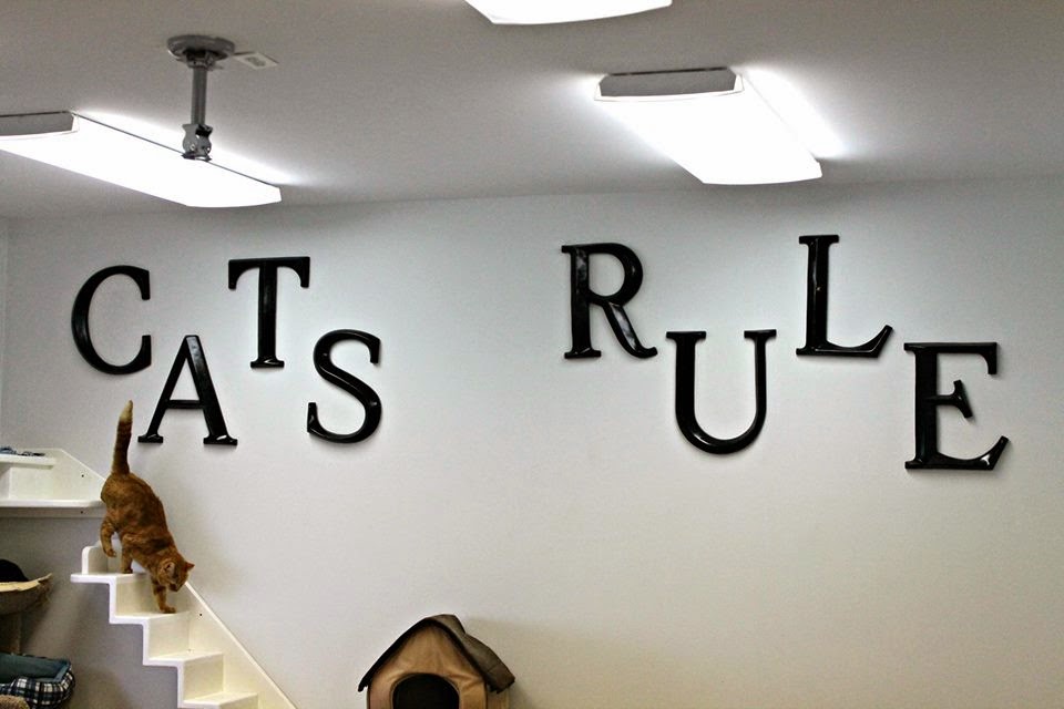 Ten Lives Club Cat Adoption Group: 2014