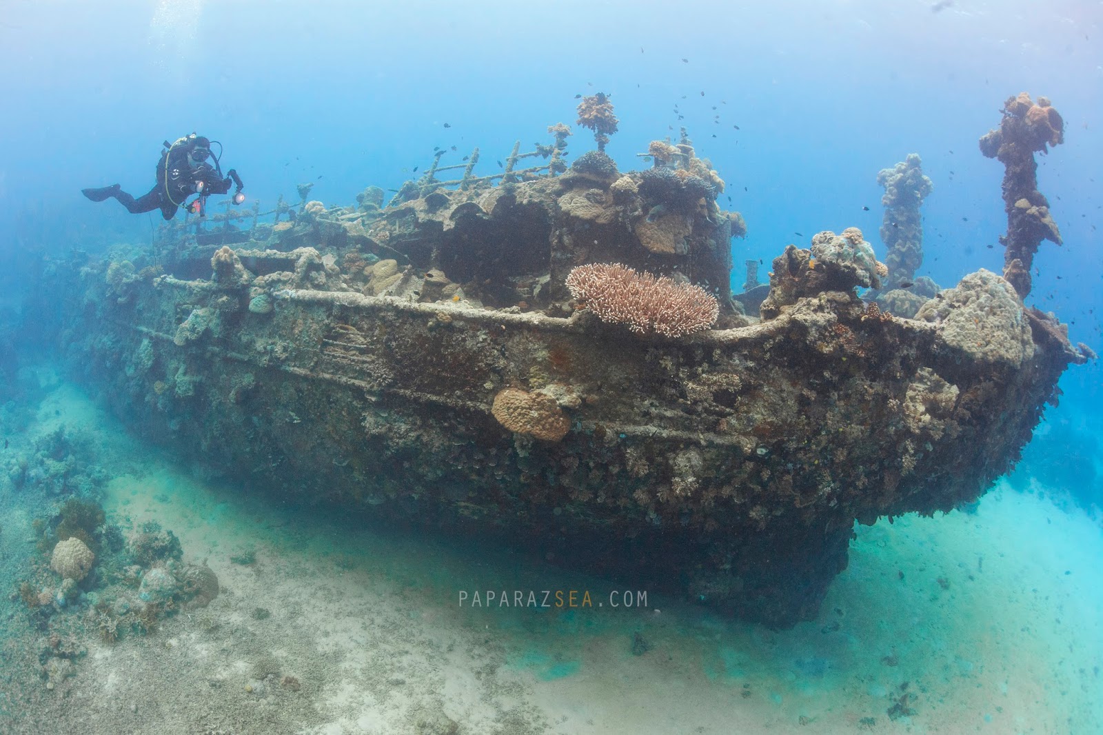 Apo Reef Mindoro, Getting There. - PaparazSea