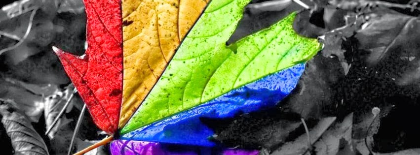 Most Unique Facebook Covers