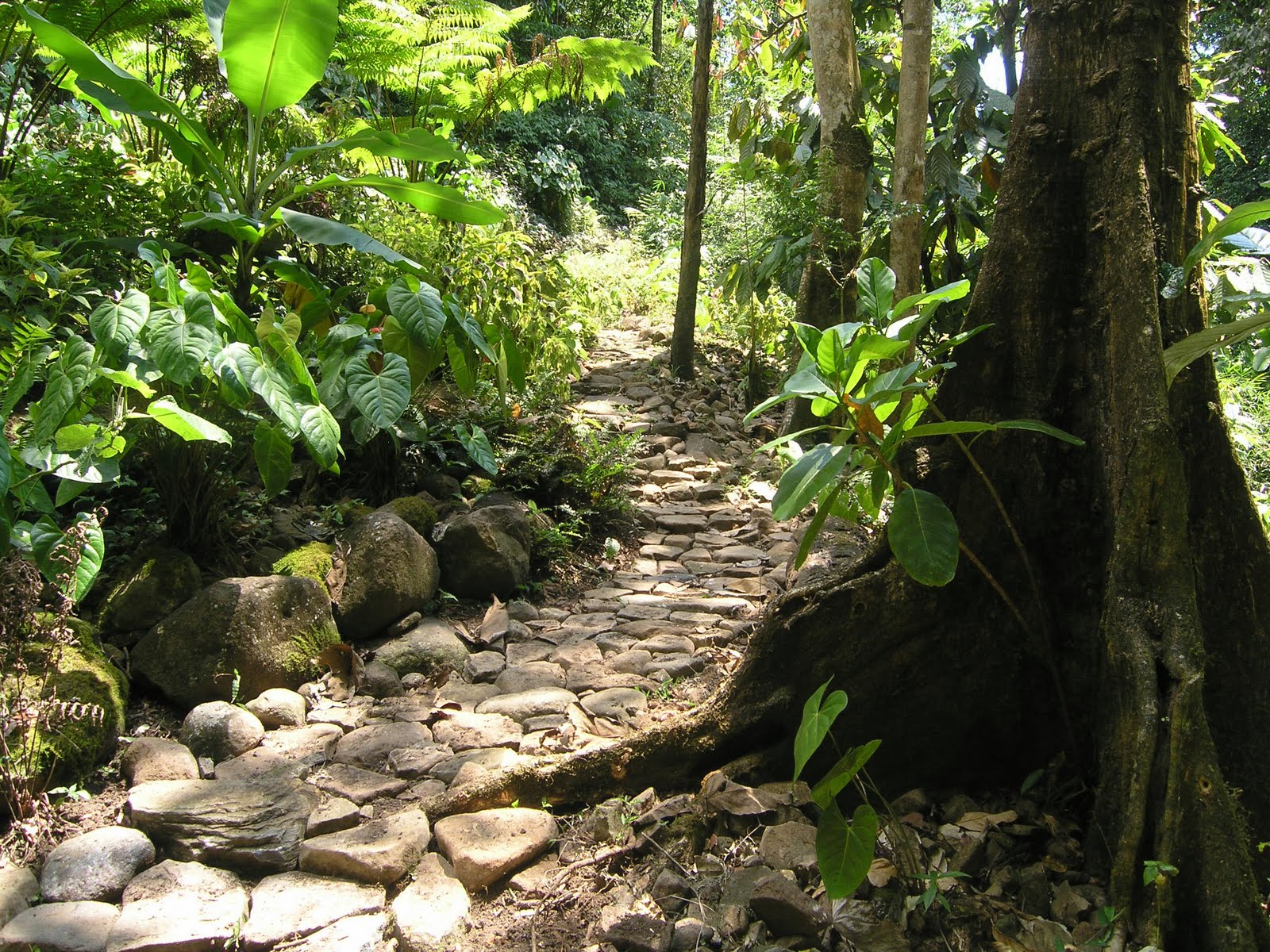 Sculpture Studio: April 2011