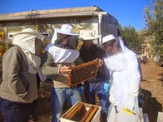 MEΛΙΣΣΟΚΟΜΙΑ ΜΑΡΑΘΩΝΑ: Σεμινάρια μελισσοκομίας για αρχάριους