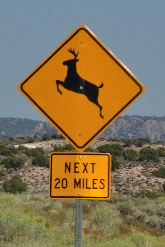 Animal Road Signs Snap – Byddi Lee