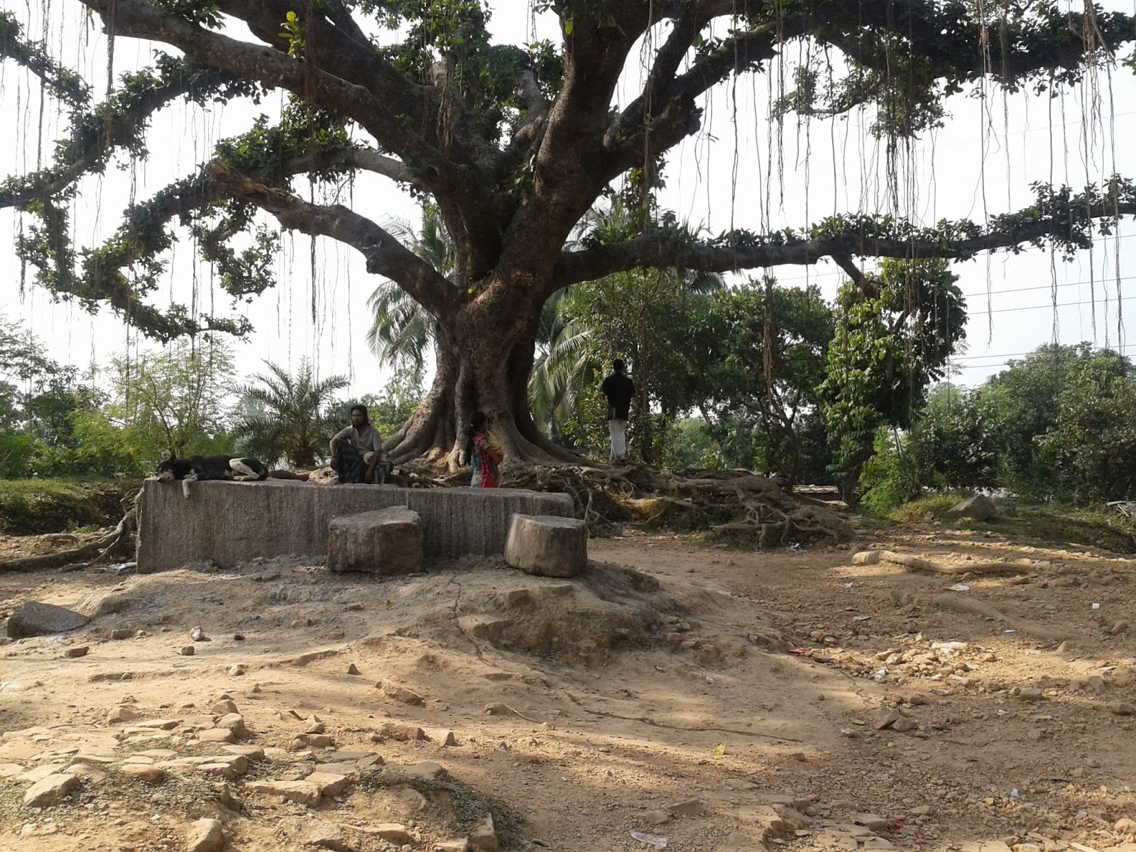 Mahasthangarh: Picture