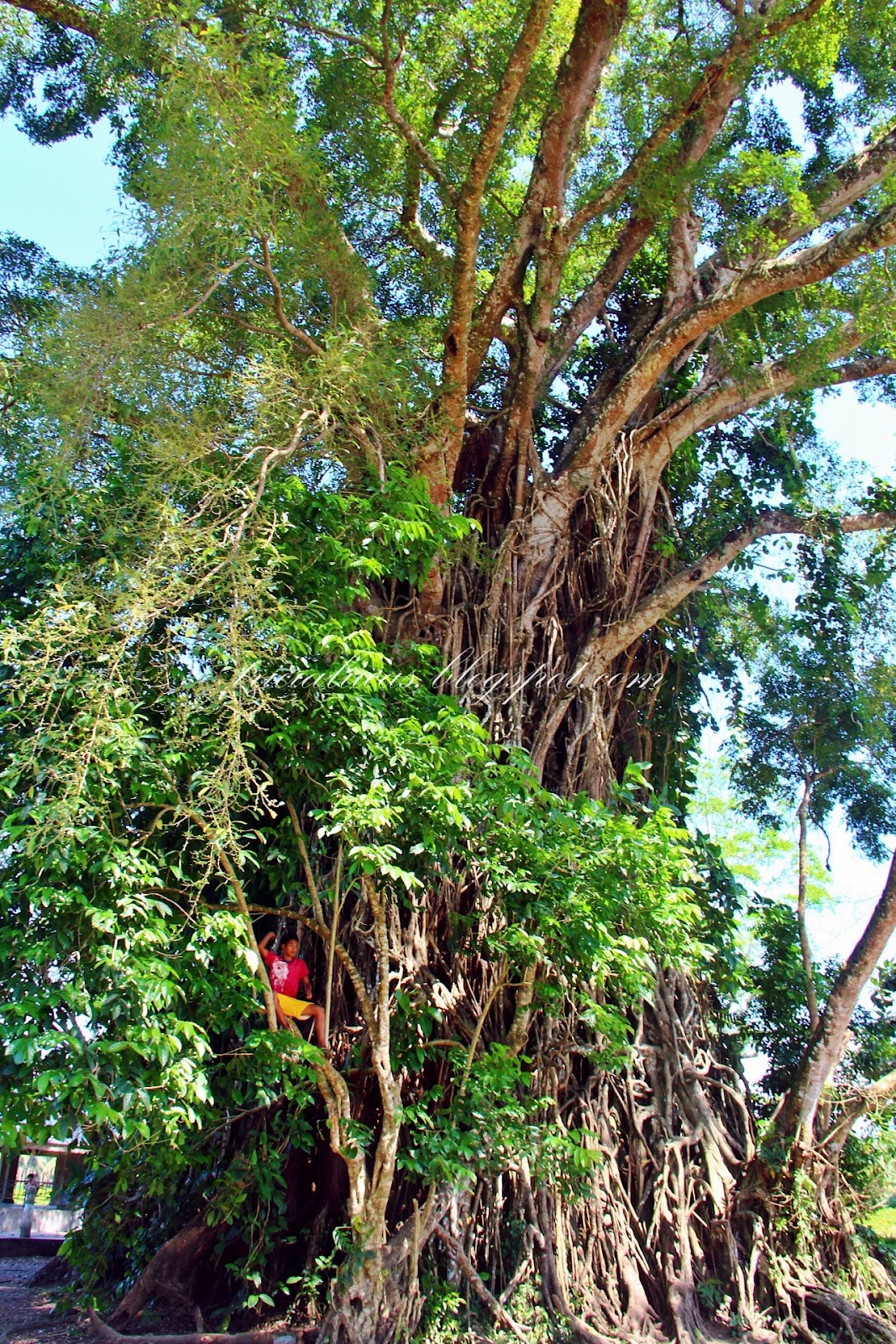 life's little treasures.: Photo Diary: Baler, Aurora