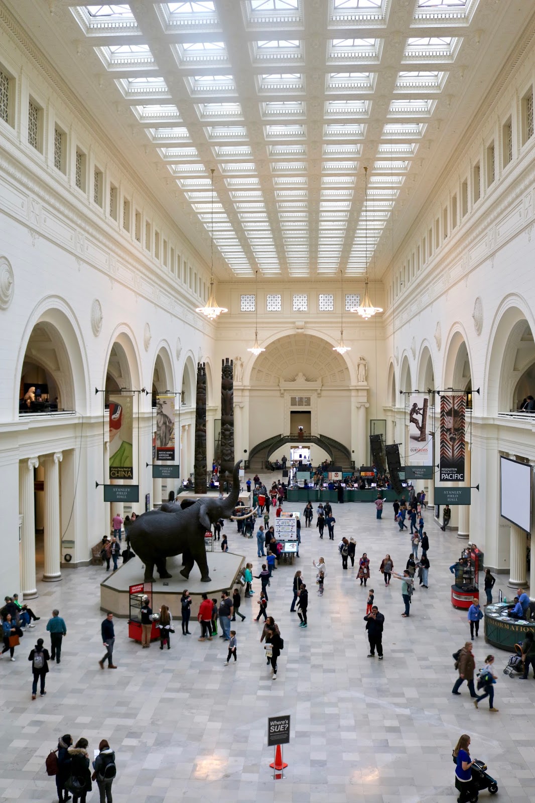 Amy's Creative Pursuits: Chicago Field Museum