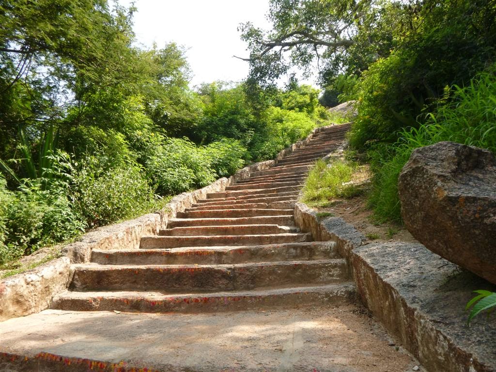 ``Mysurean Musings: Thousand steps of Chamundi Hill