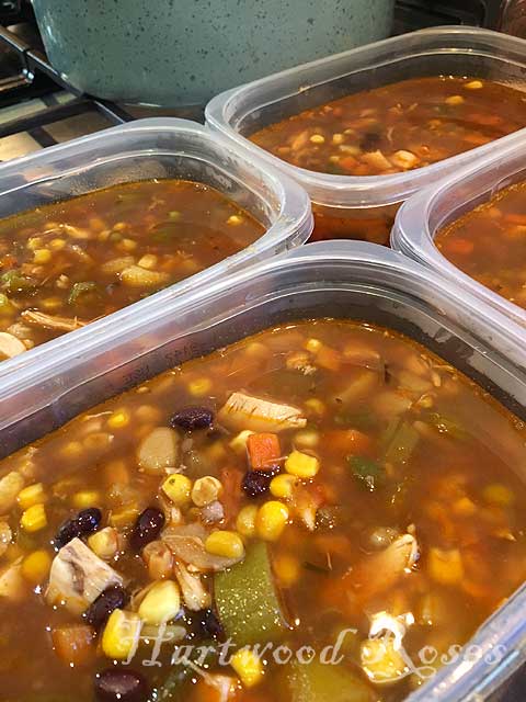 Hartwood Roses: Chicken Salsa Soup