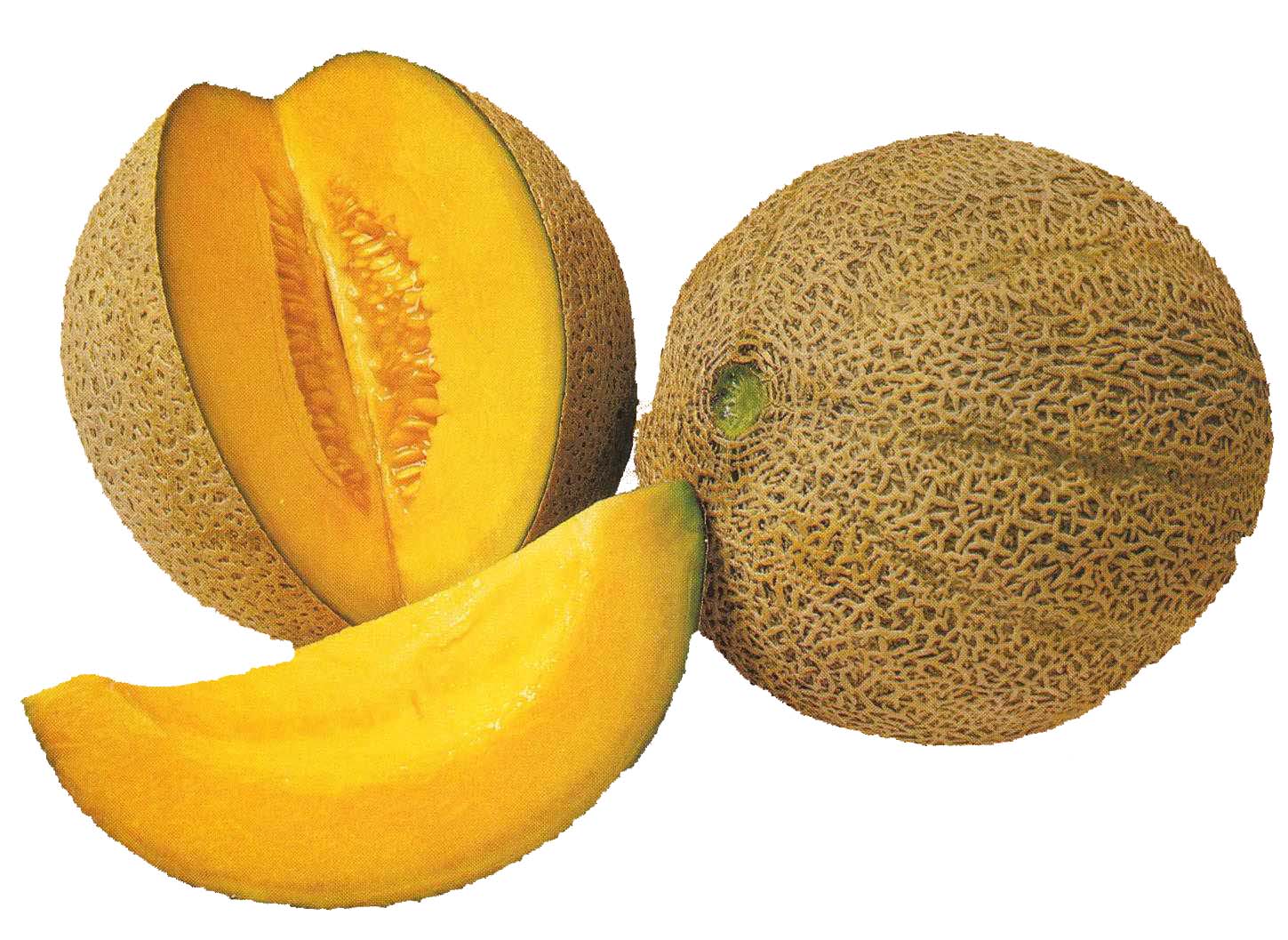Rock Melon Fruits And Vegetables rock-melon-fruits-and-vegetables