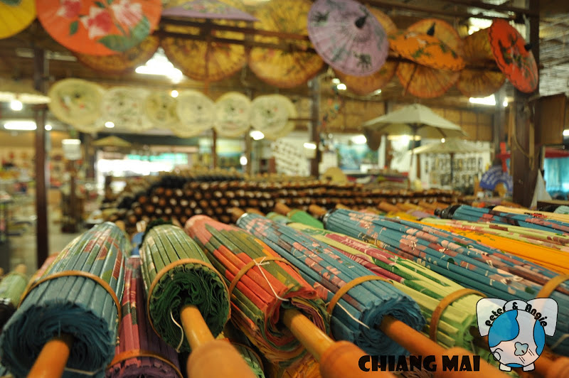 P&A GoGoGo: Chiang Mai#2 Honey, Umbrella & Hmong Village