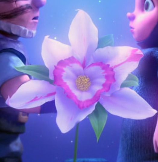 Disney : Cupid's Arrow Orchid