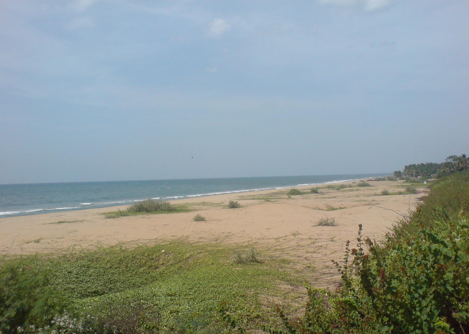 Tamilnadu Tourism: Marakkanam Beach, Villupuram