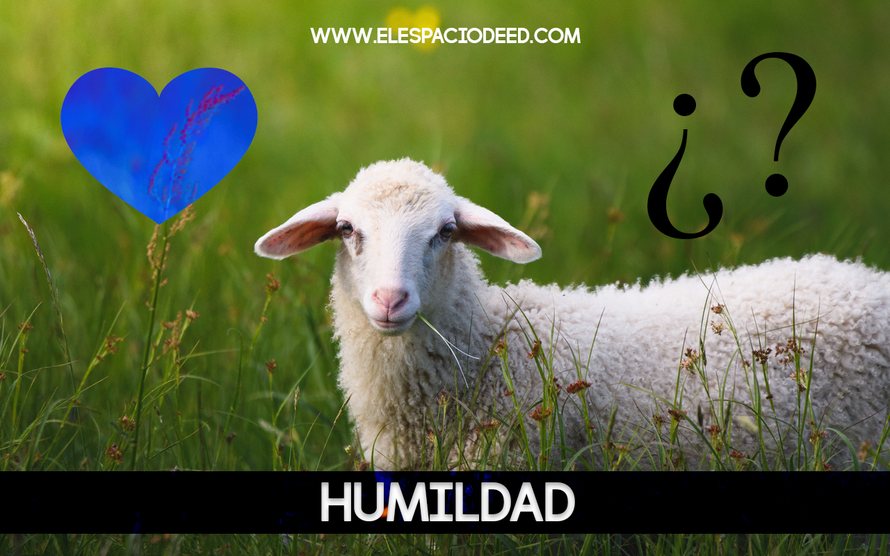 ¿Qué es la *HUMILDAD* (Cristianismo)? | Edwin Tejada