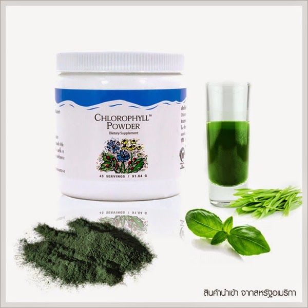 Make Life Better: Chlorophyll Powder