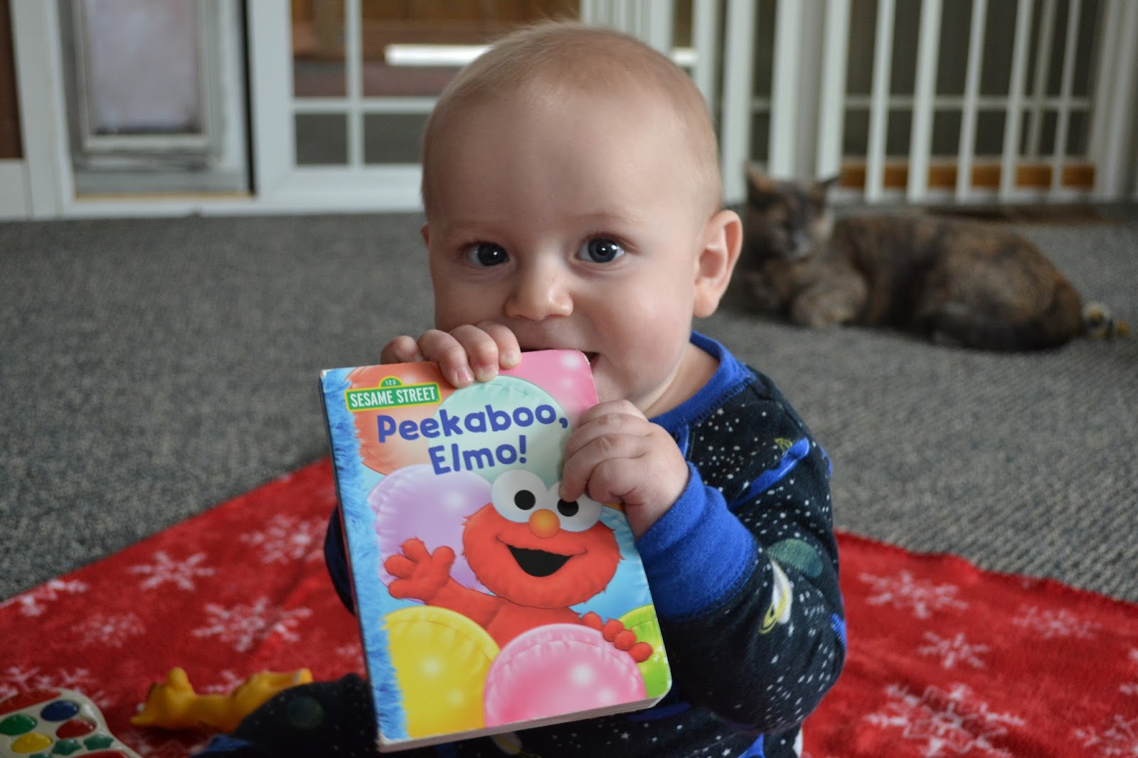 Book Blab - Blithering by a Book Lover: It's Never Too Early to Start ...