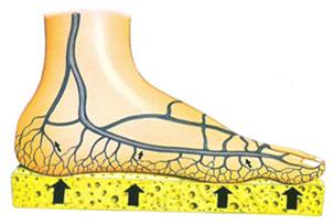 Nutritional Aids il blog di Pasquale Di Gioia: Passeggiare sulla ...