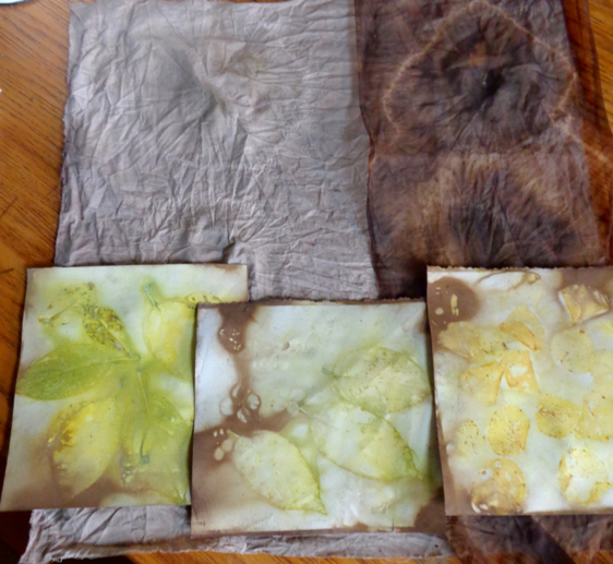 A Mixed Media Journal: Clare Murray Adams: Eco Dyeing