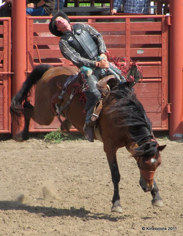 kinexxions: Roe-Dee-Oh :: Bronc Riding